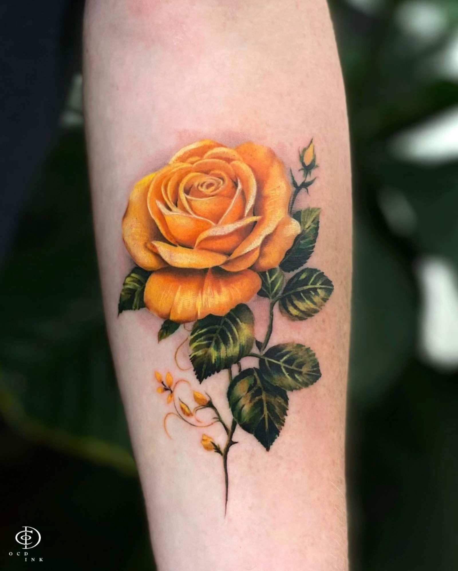 Rose Tattoo Meaning: Color Meanings and Style Inspirations