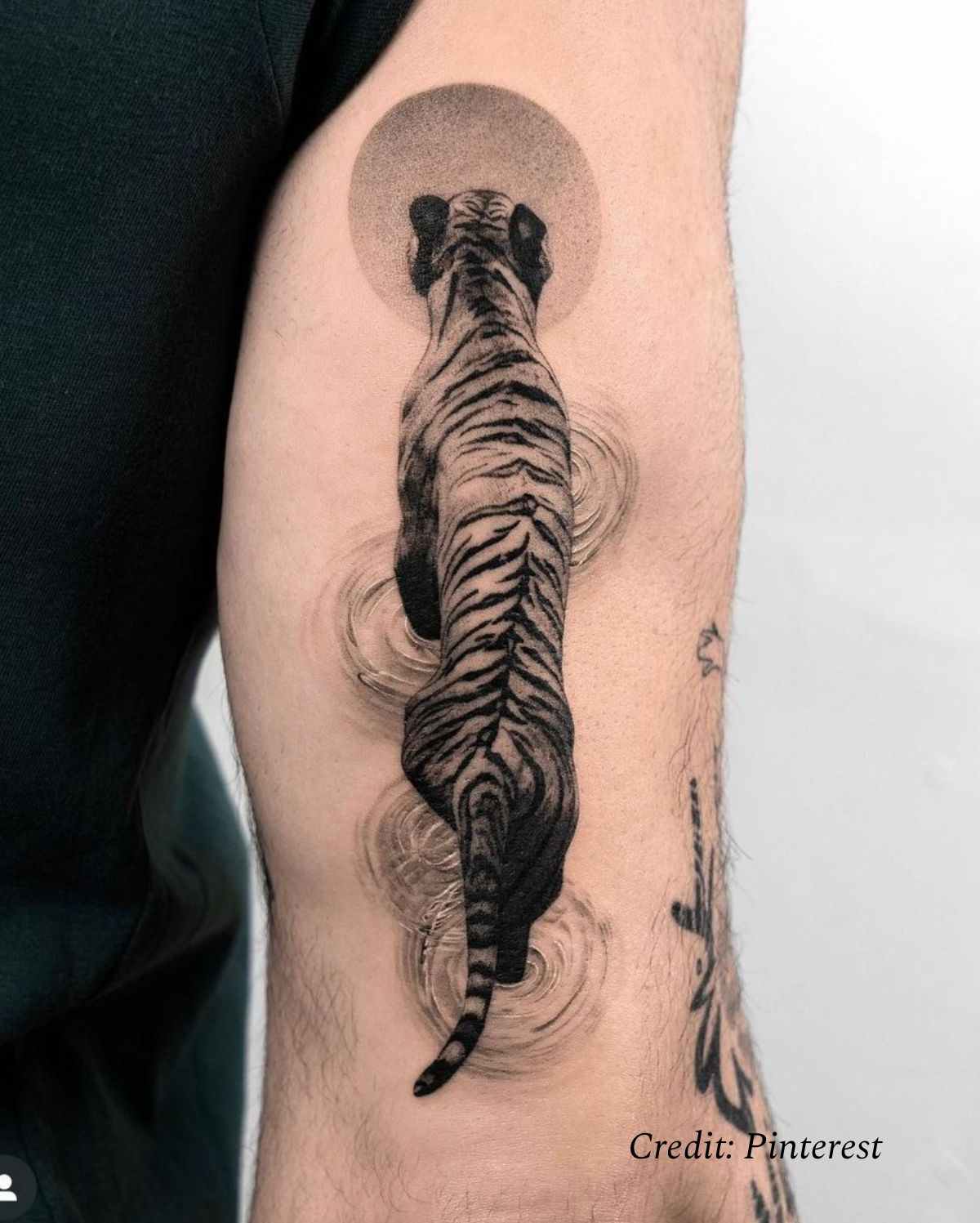Tiger Tattoo Meaning Explained: Culture and Inspiration